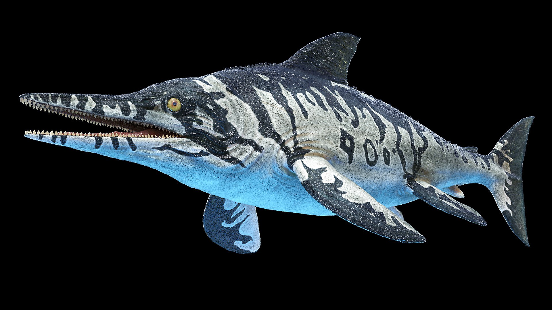 Ichthyosaur 3D Model - TurboSquid 1662546