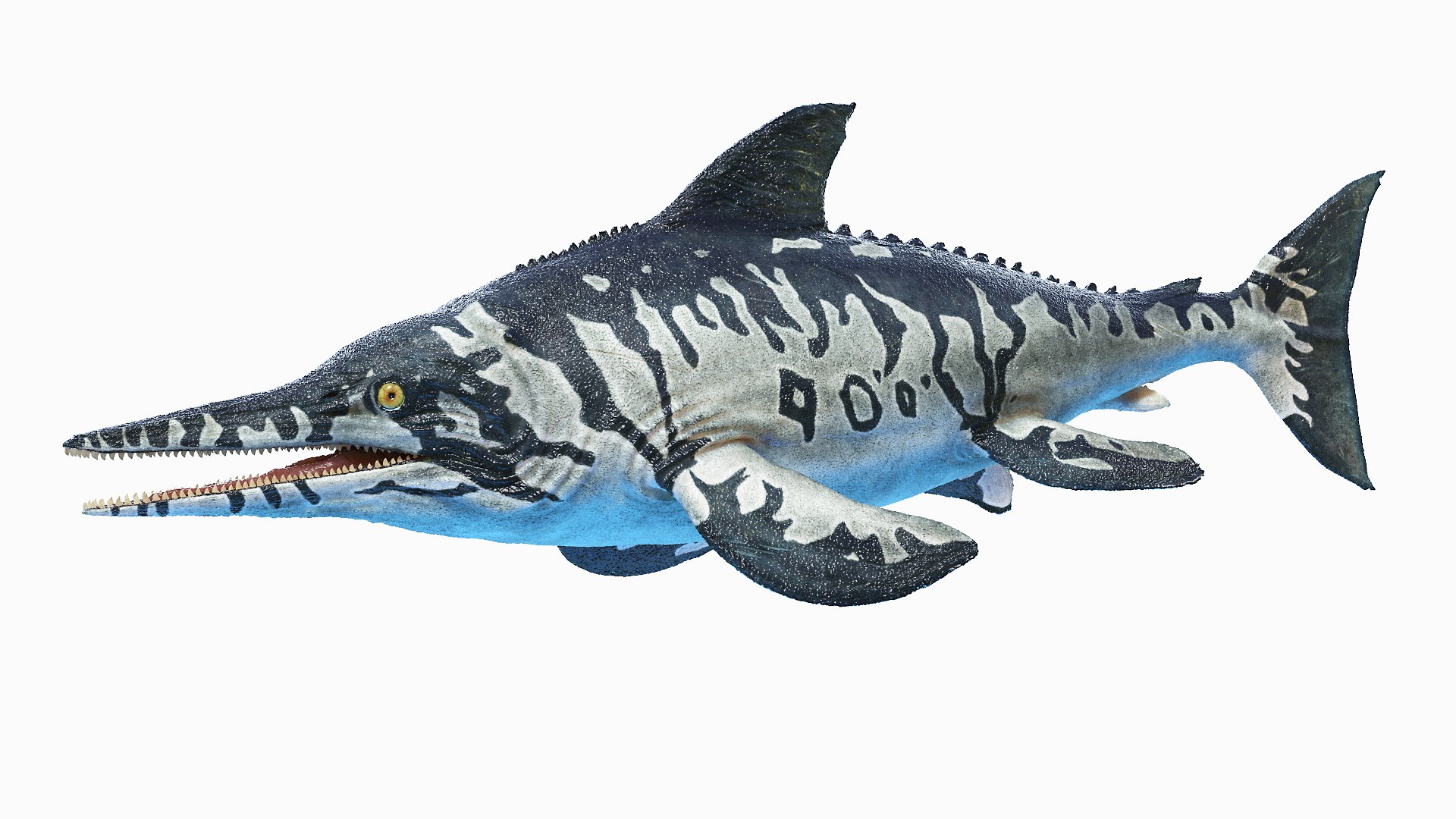Ichthyosaur 3D model - TurboSquid 1662546