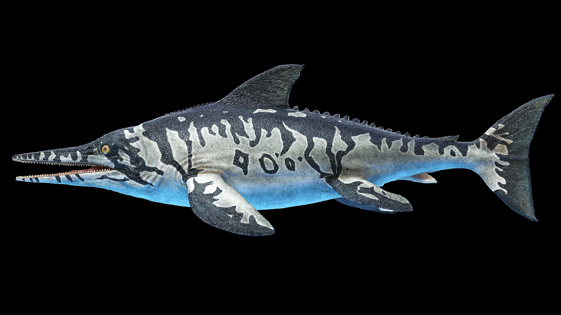 Ichthyosaur 3D Model - TurboSquid 1662546