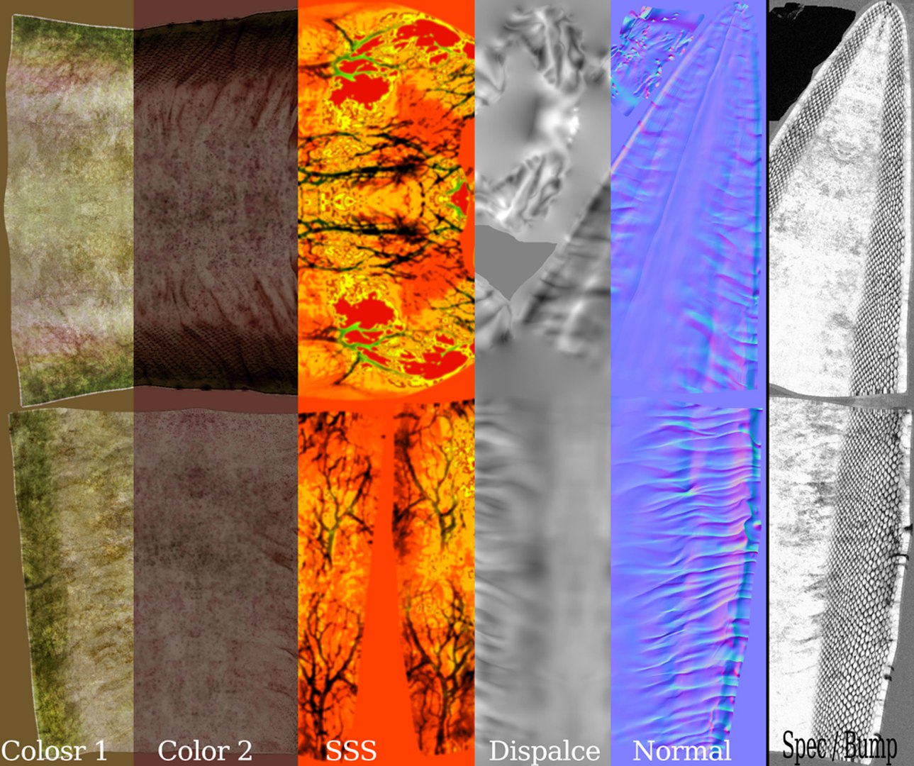 3d Model Rigging Skin Sss