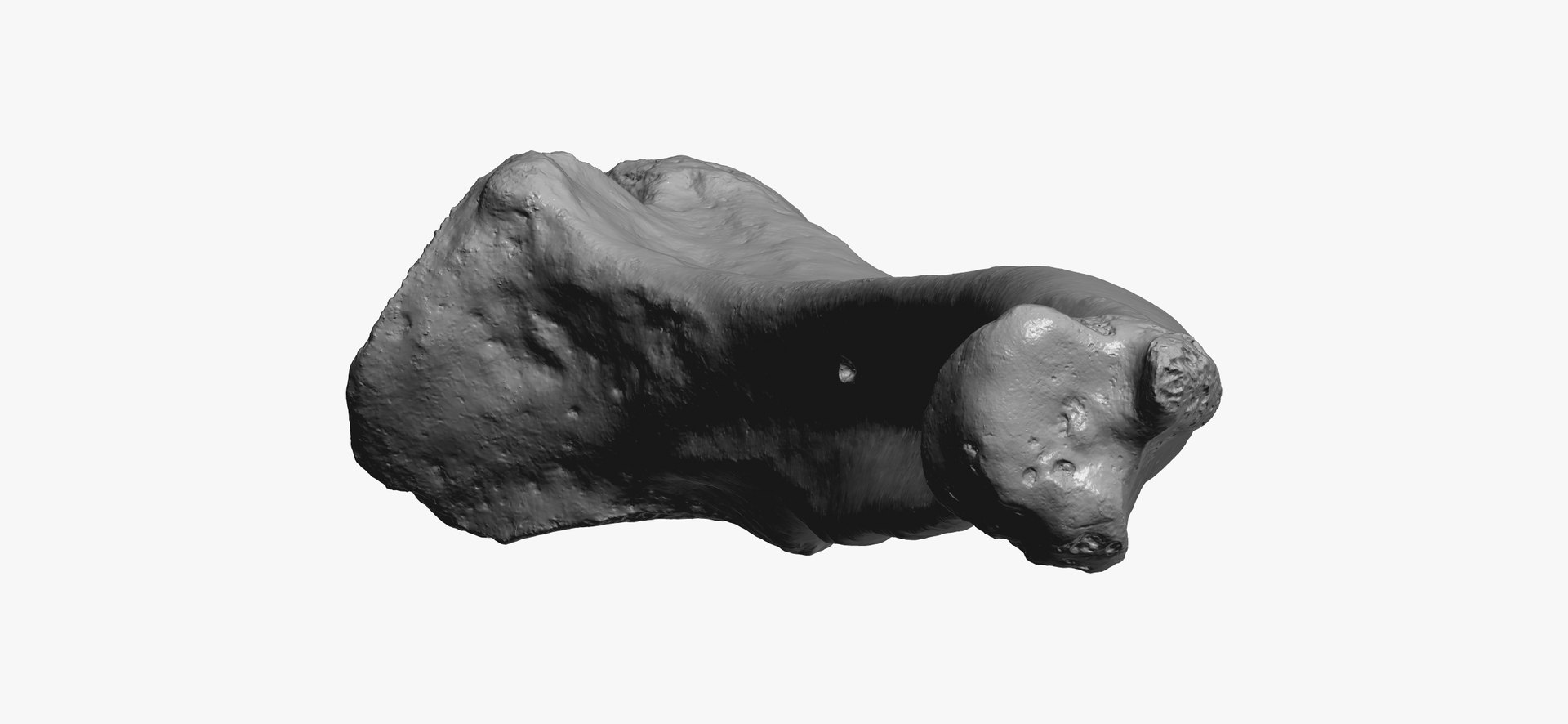 Human Ulna Bone 01 3D Model - TurboSquid 1550990