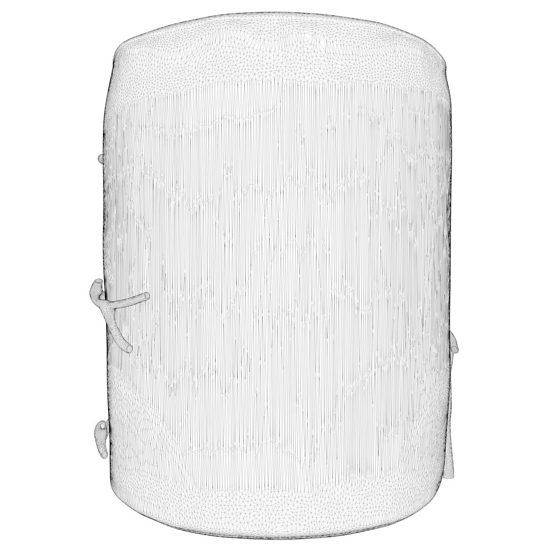 Bone Structure Anatomy Periosteum Spongy 3D - TurboSquid 2083162