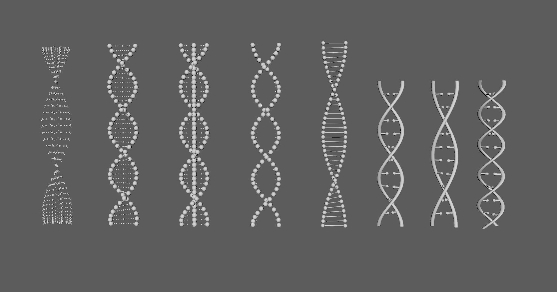 Dna Types 3D Model - TurboSquid 1659457