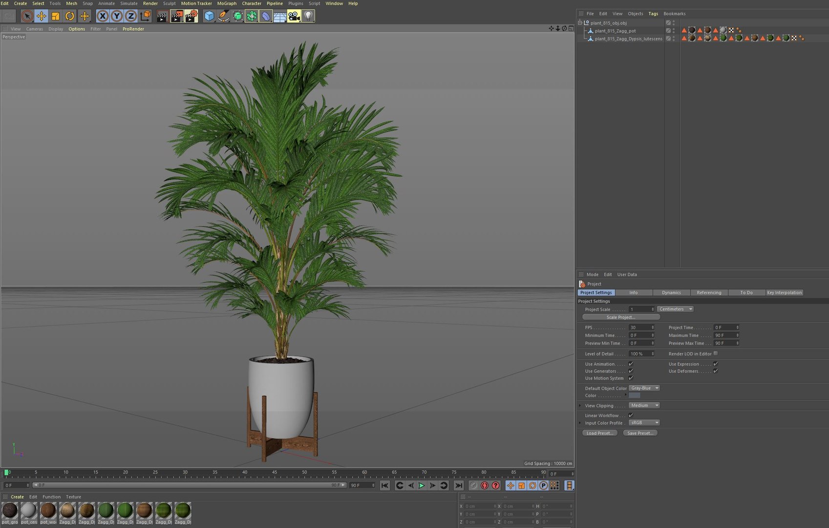 3D Model Plants Collection 815 - TurboSquid 1963724