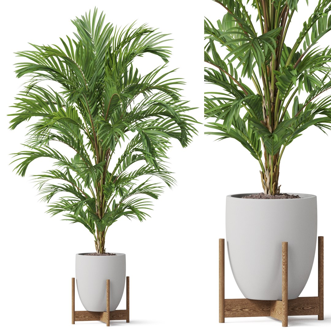 3D Model Plants Collection 815 - TurboSquid 1963724