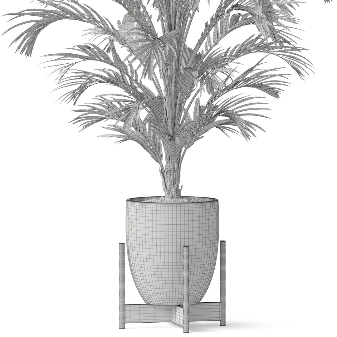 3D Model Plants Collection 815 - TurboSquid 1963724