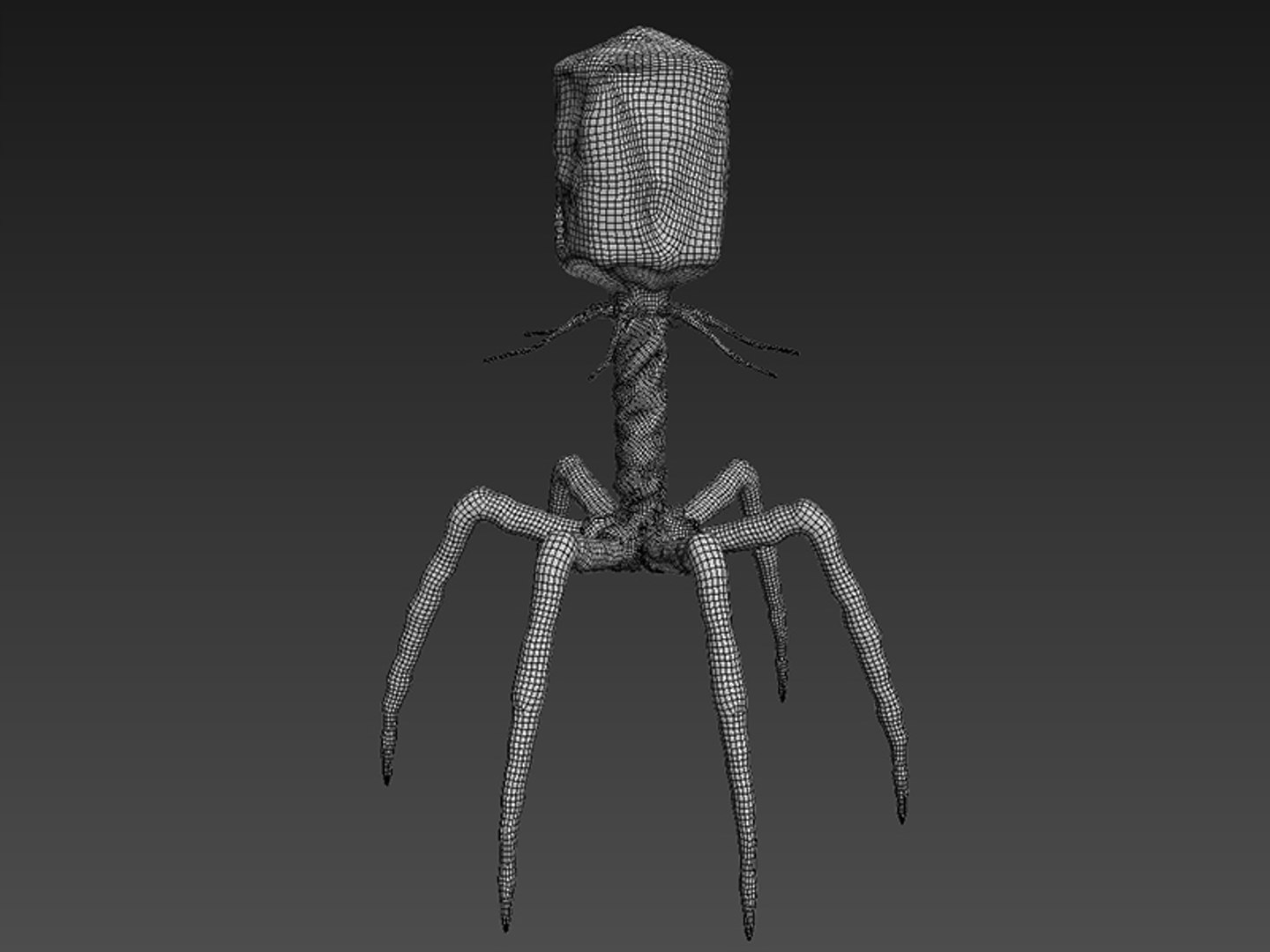 3D Model Virus - TurboSquid 1457403
