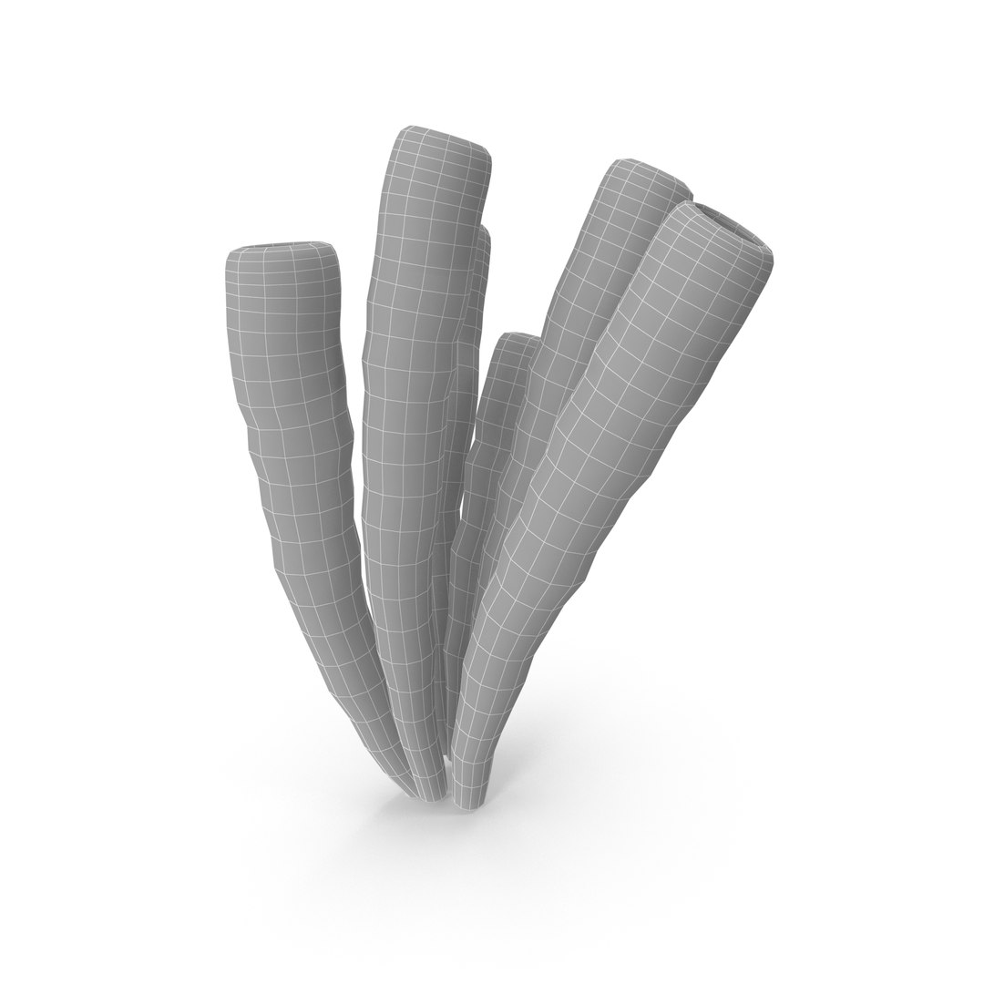 3D Pink Tube Sponges Model - TurboSquid 2232874