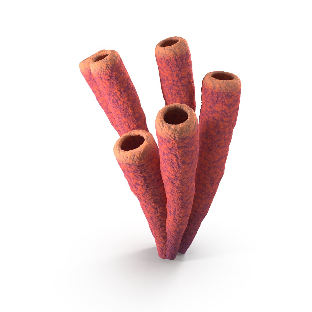 3D Pink Tube Sponges Model - TurboSquid 2232874
