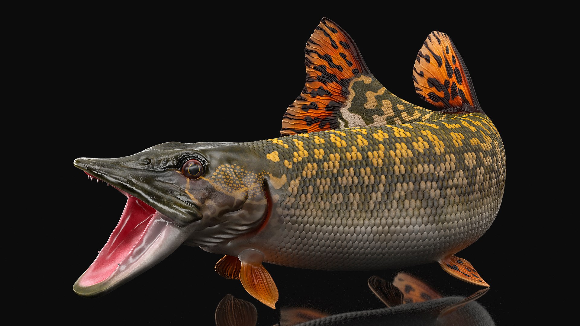 Pike Fish Rigged 3D - TurboSquid 1585356