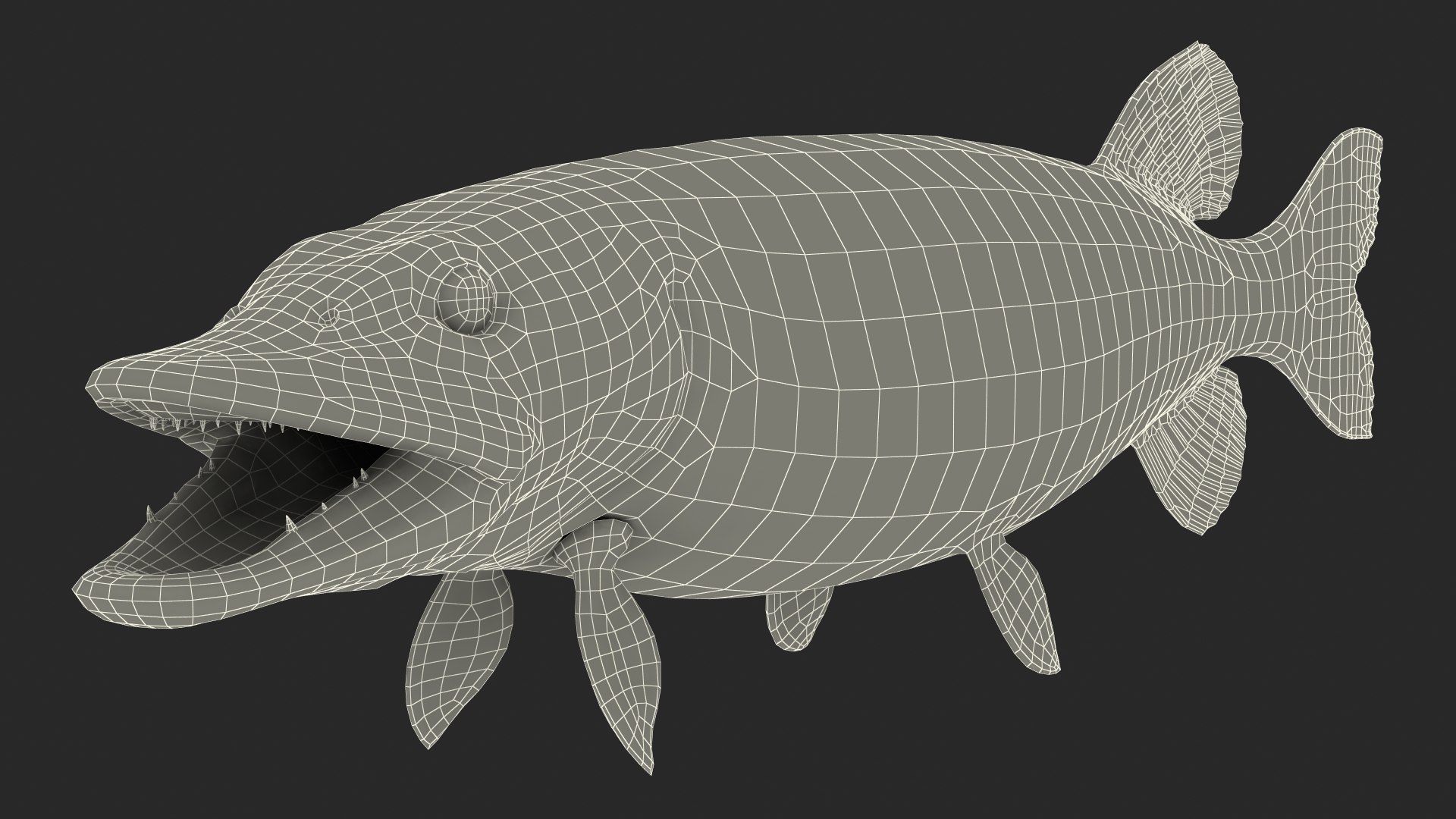Pike fish rigged 3D - TurboSquid 1585356