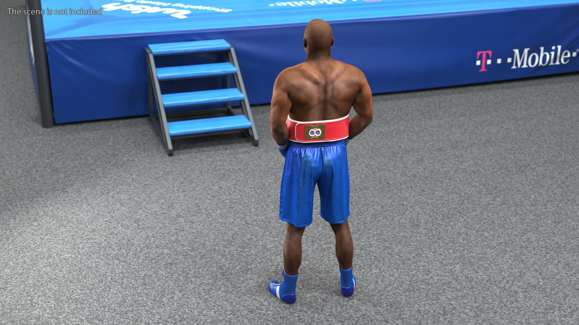 3D Model International Boxing Federation Champion - TurboSquid 2123639