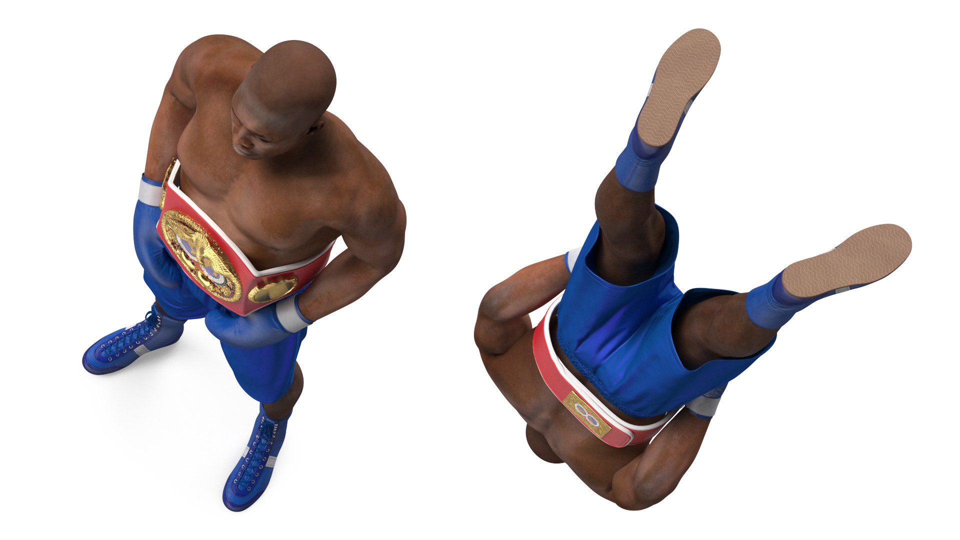 3D Model International Boxing Federation Champion - TurboSquid 2123639