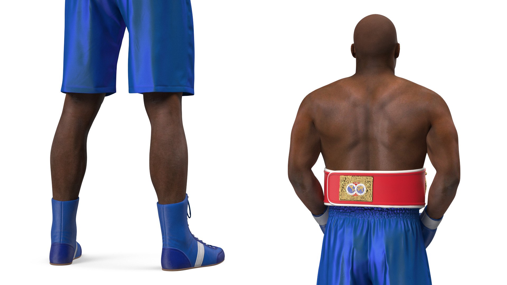 3D Model International Boxing Federation Champion - TurboSquid 2123639