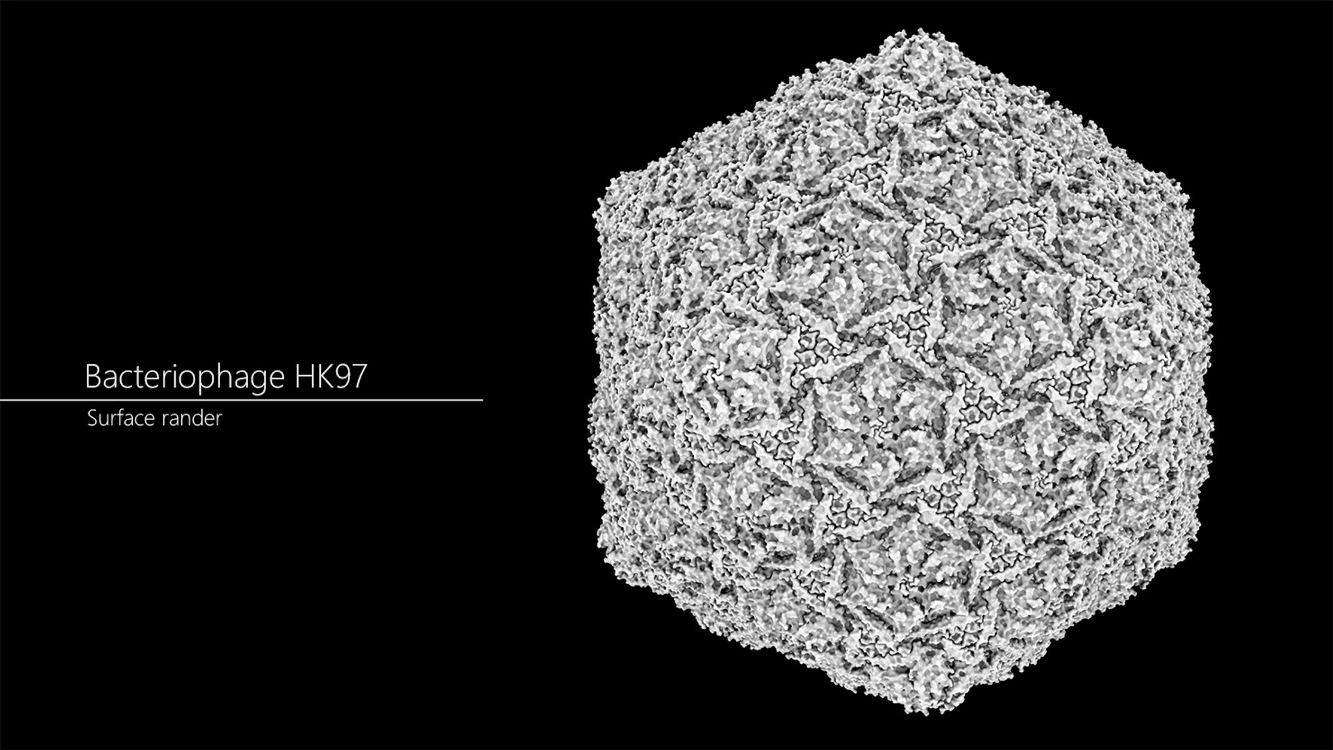 Bacteriophage Hk97 Capsid 3D Model - TurboSquid 1361712