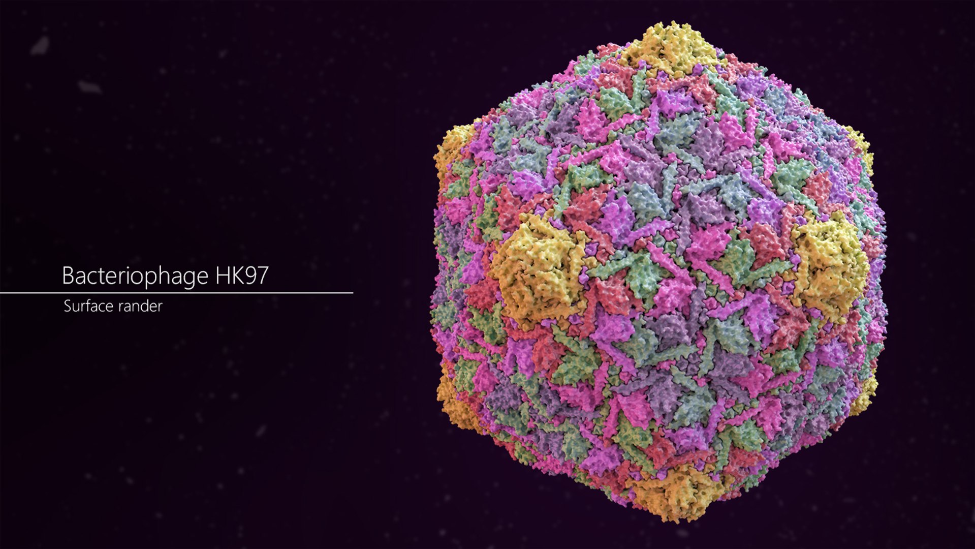 Bacteriophage Hk97 Capsid 3D Model - TurboSquid 1361712