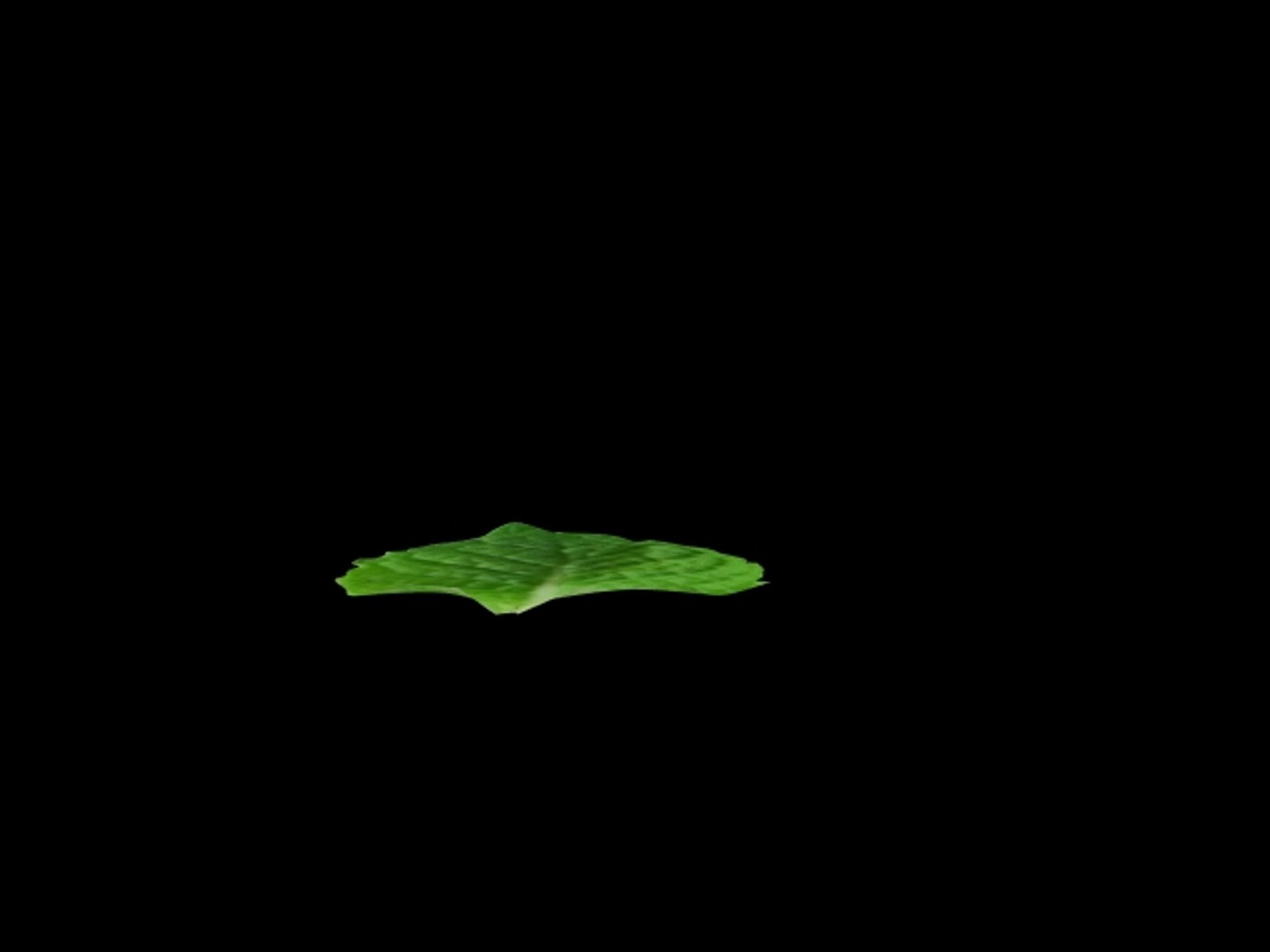 3d mint leaf