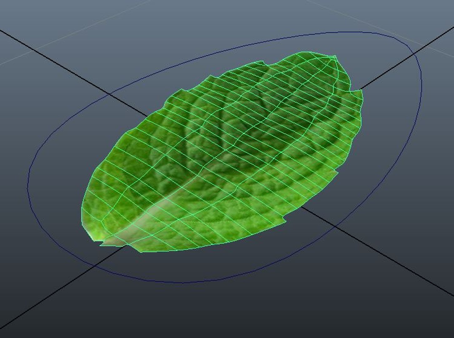 3d mint leaf
