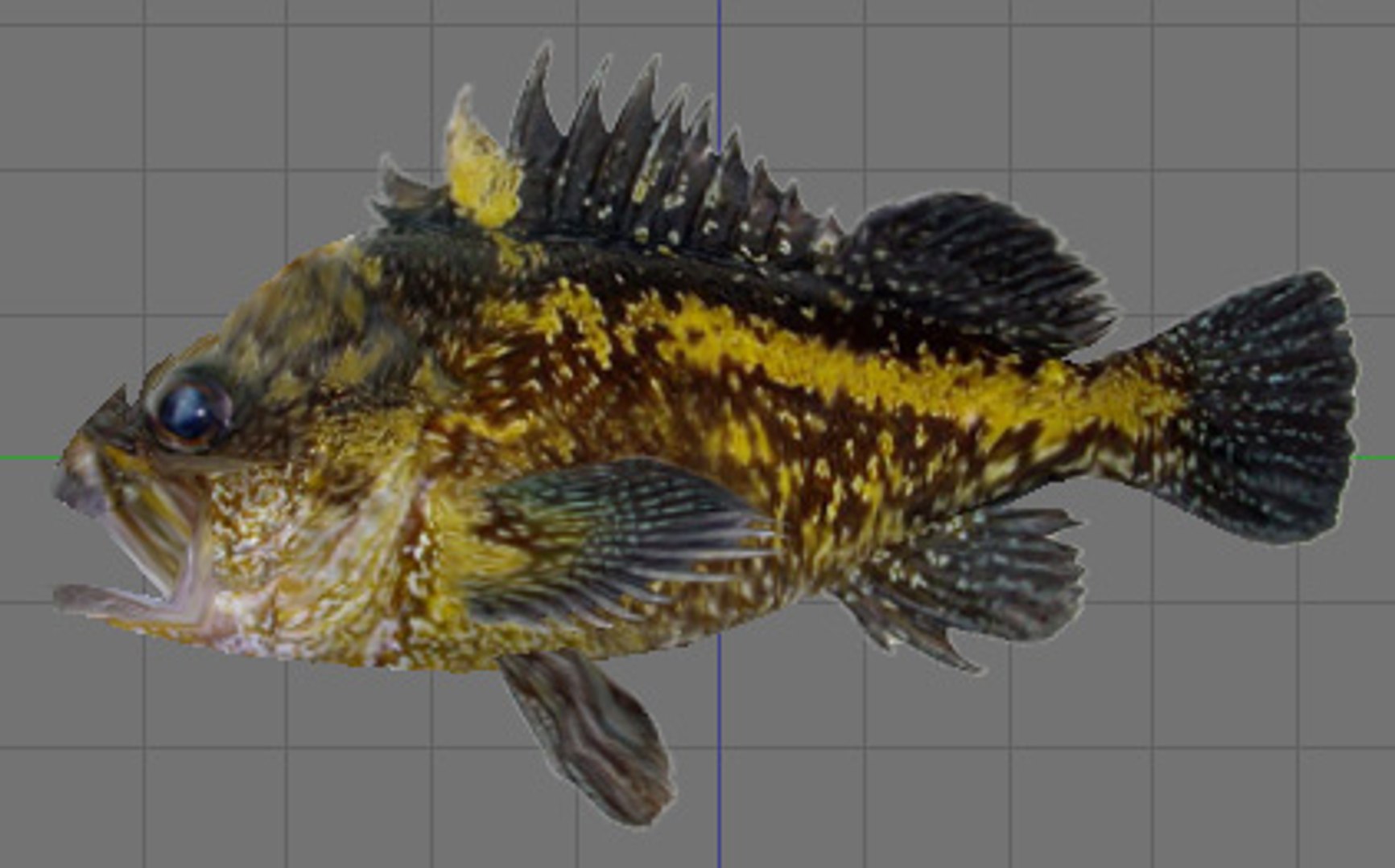 Fish Games 3d Model