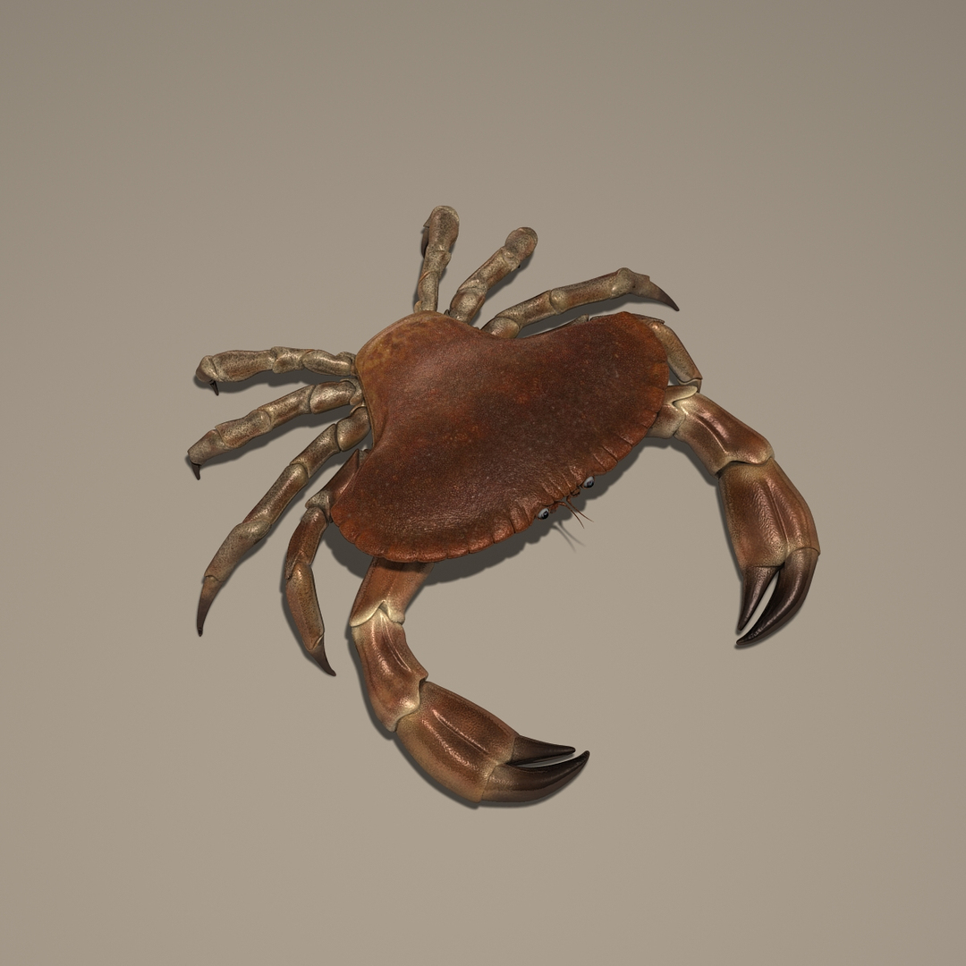 3ds max crab