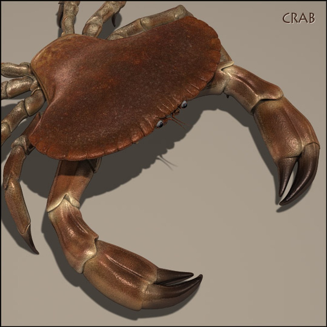 3ds max crab