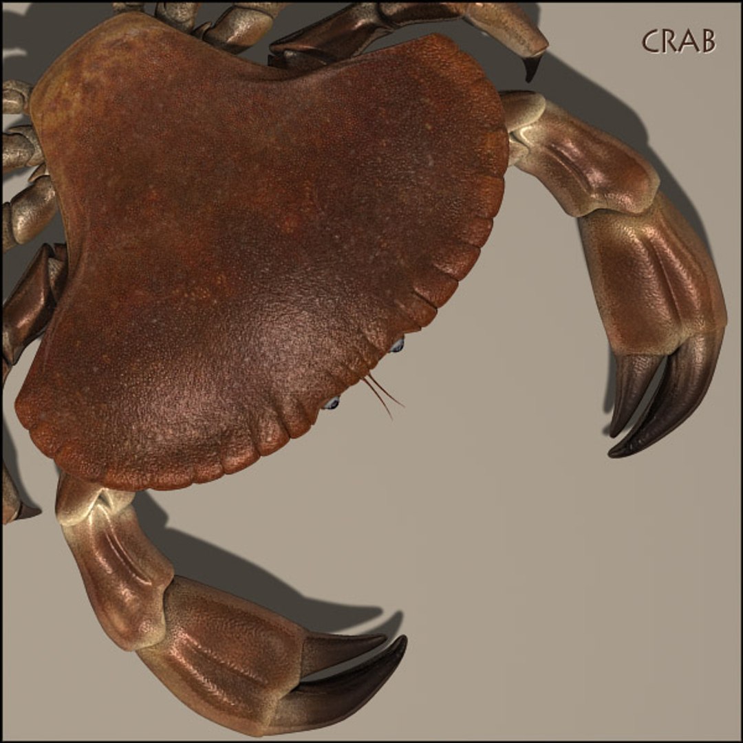 3ds max crab