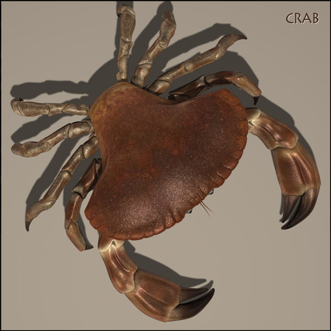3ds max crab