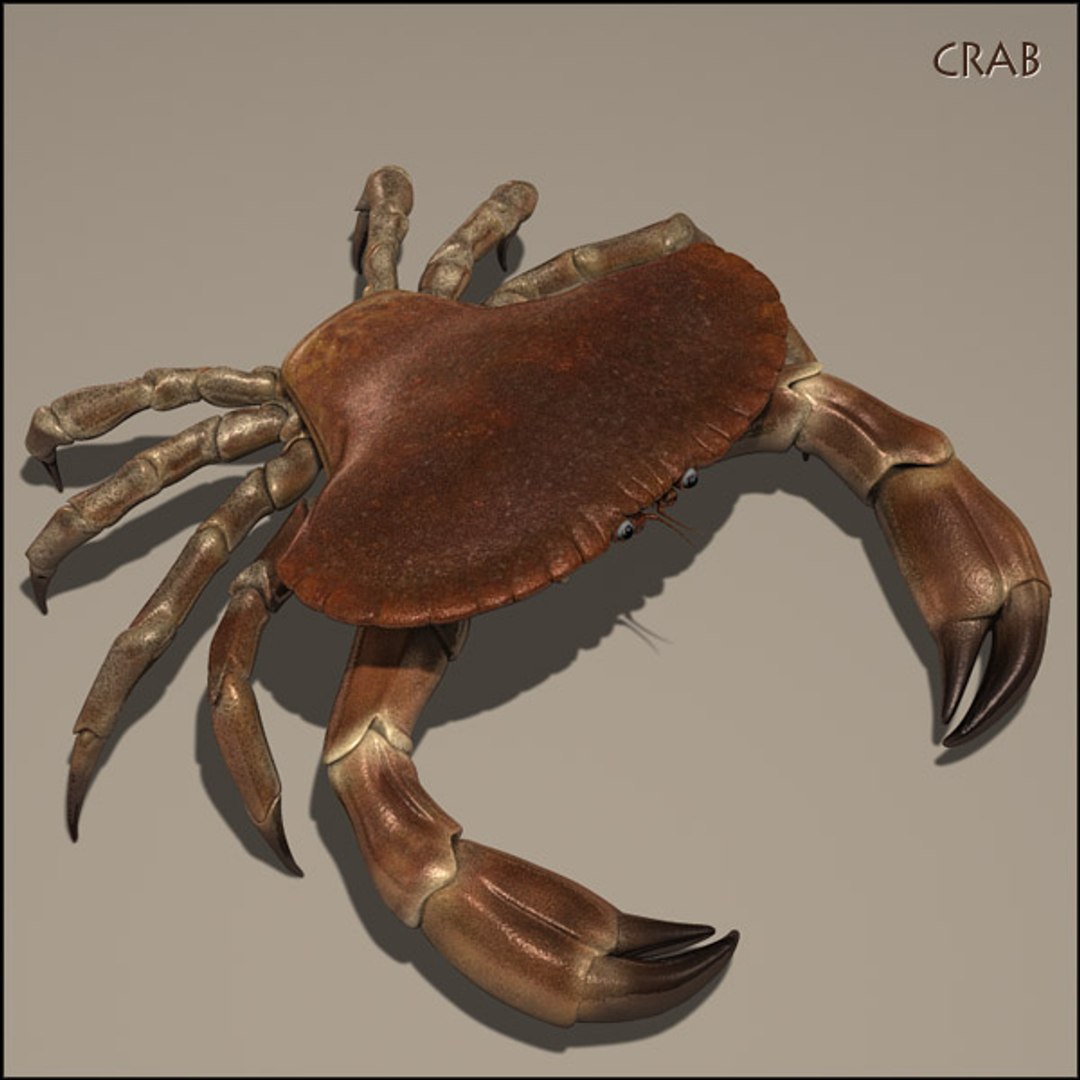 3ds max crab