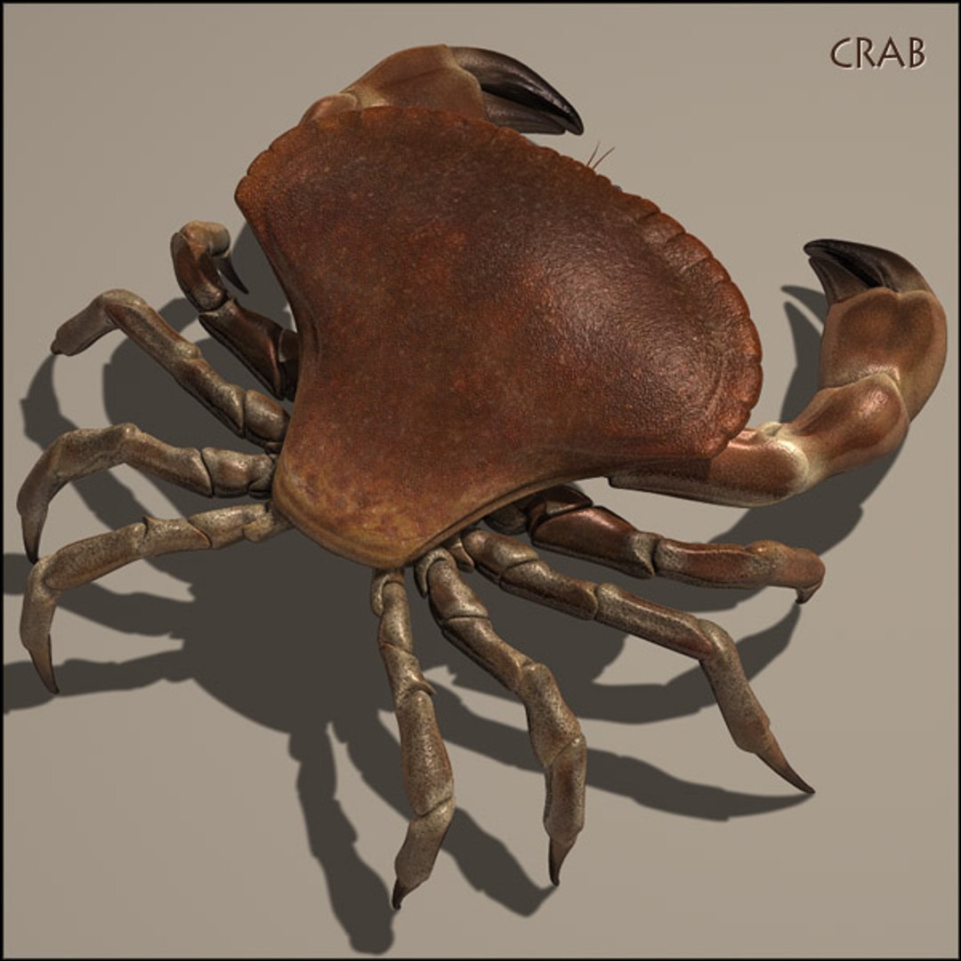 3ds max crab