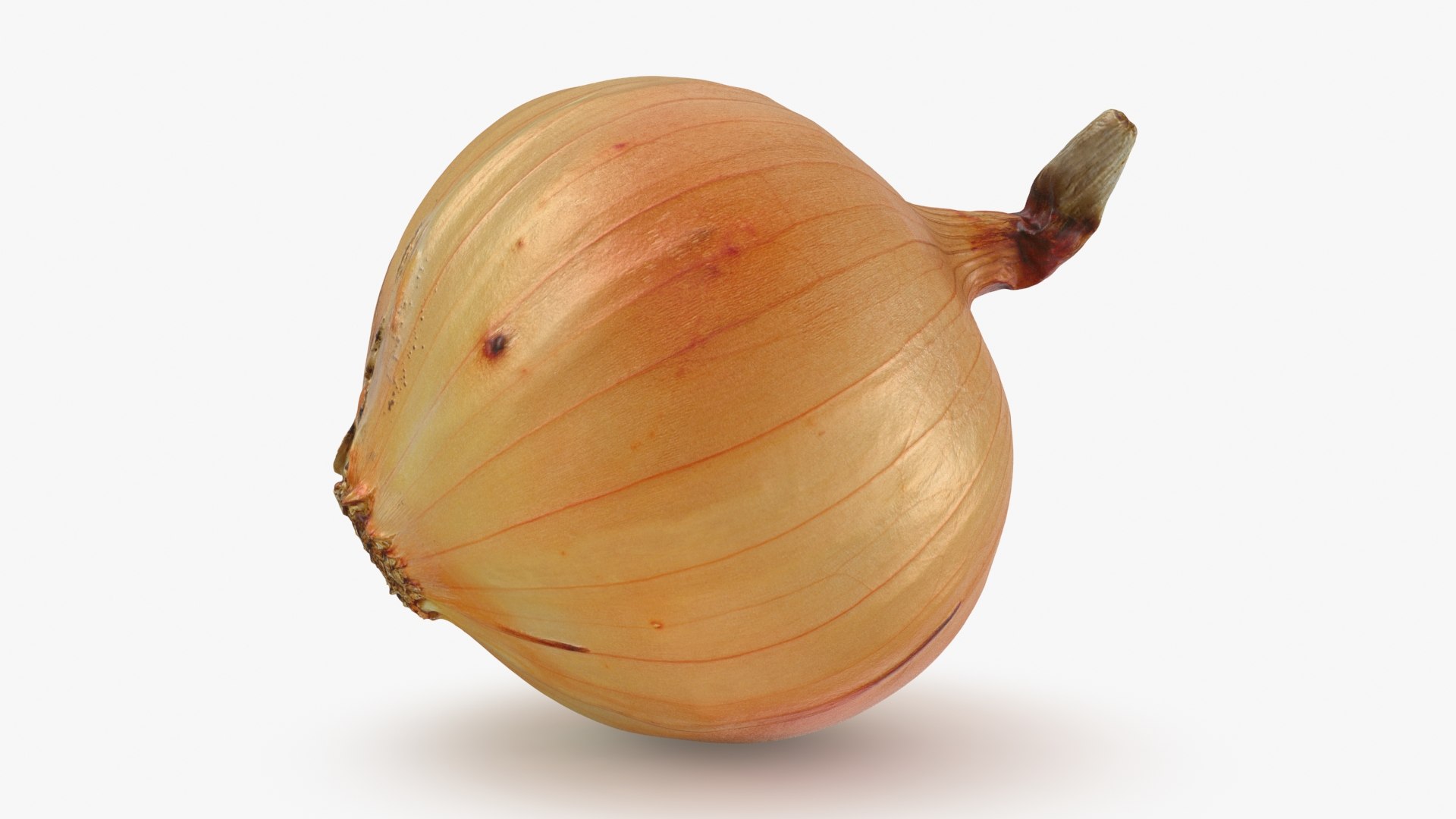 Yellow Onion Collection Model - TurboSquid 2248094