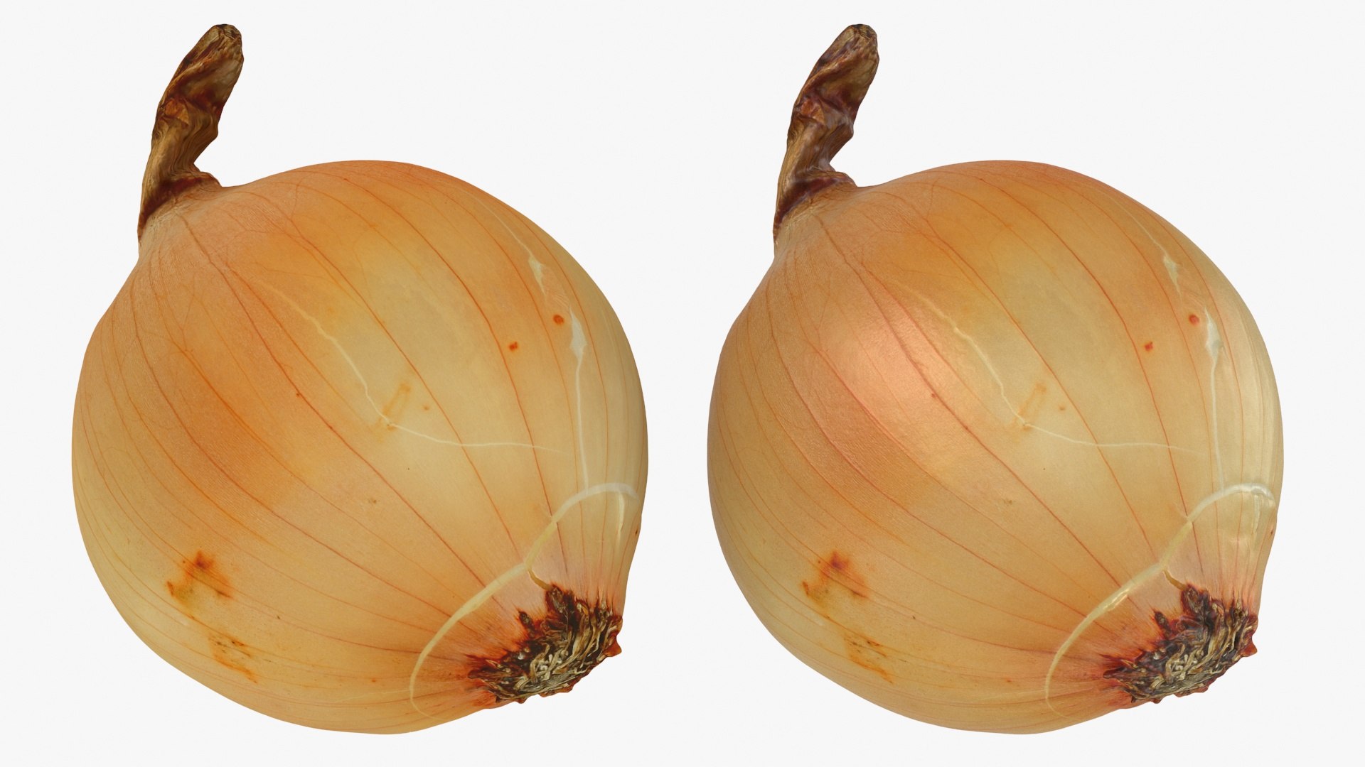 Yellow Onion Collection Model - TurboSquid 2248094