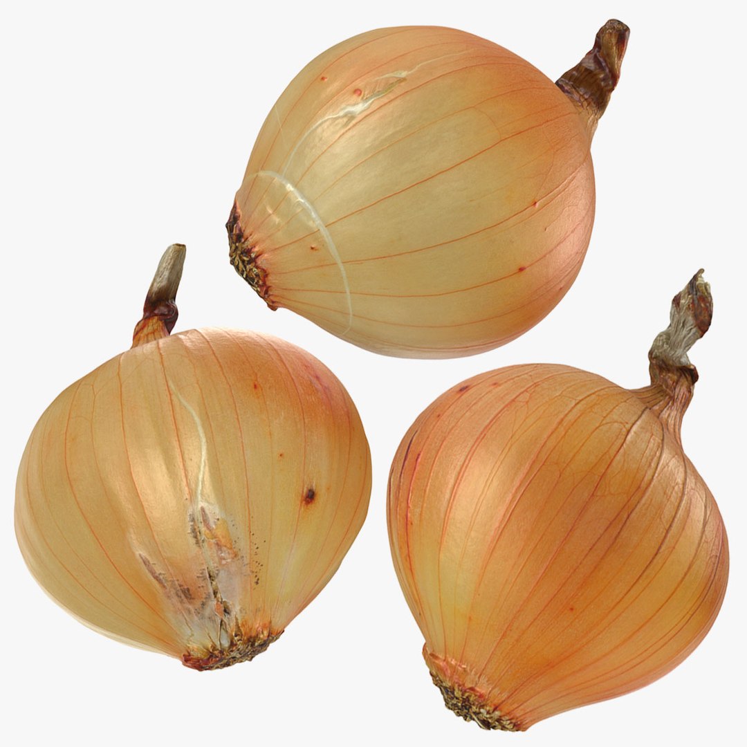 Yellow Onion Collection Model - TurboSquid 2248094