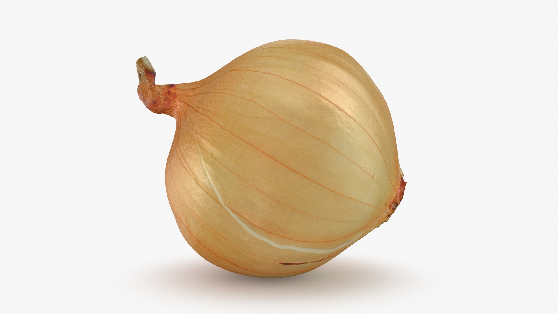 Yellow Onion Collection Model - TurboSquid 2248094