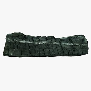 3D charred log model - TurboSquid 1528509