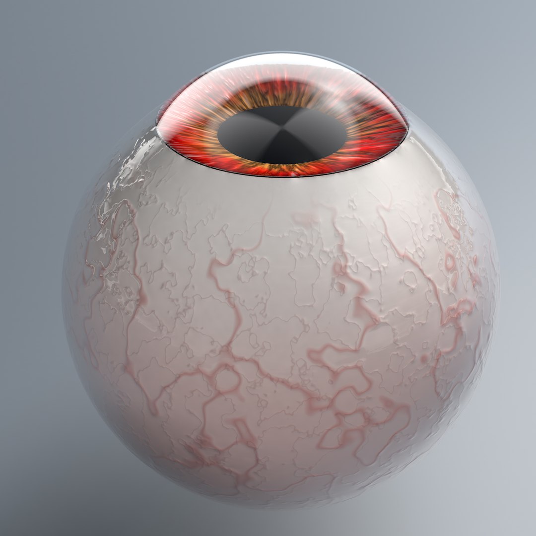 3D Realist Human Eye Rig Model - TurboSquid 1188067
