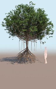 3D Mangrove Models - Browse & Download Formats - TurboSquid