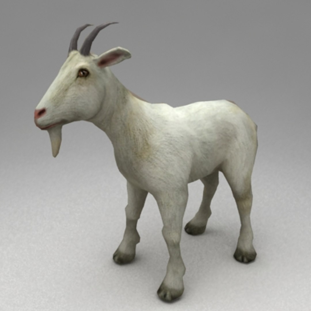 3d model rigged goat