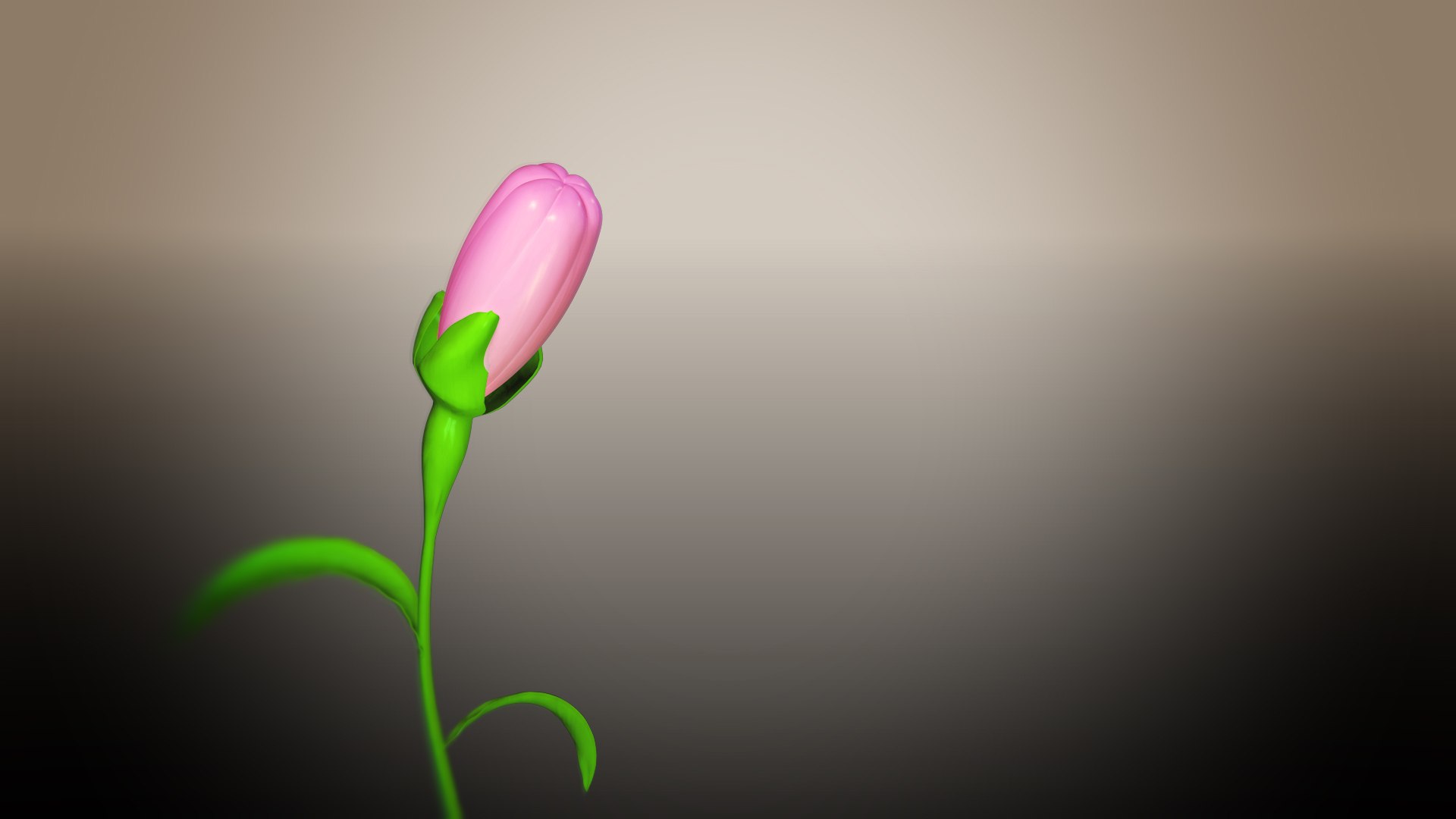 Animated Flowers Blooming
