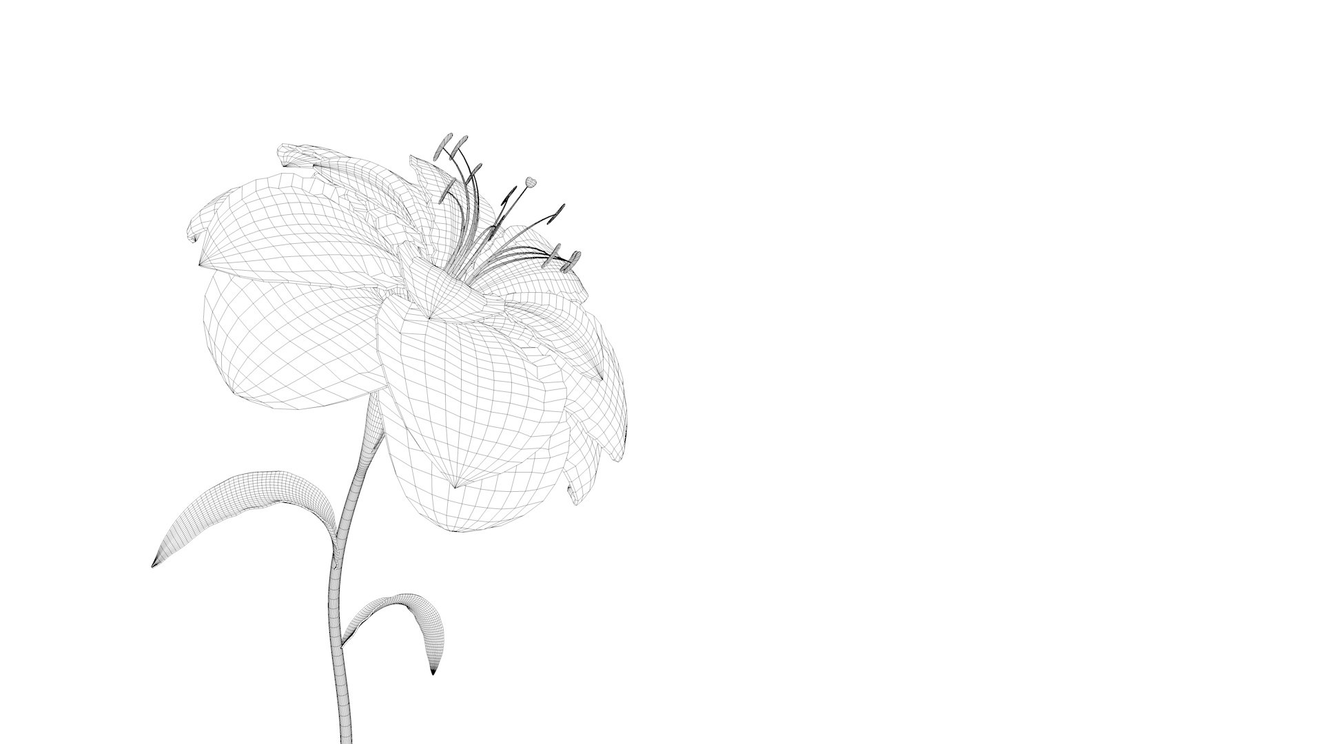 3D Flower Blooming Animation Model - TurboSquid 1618690