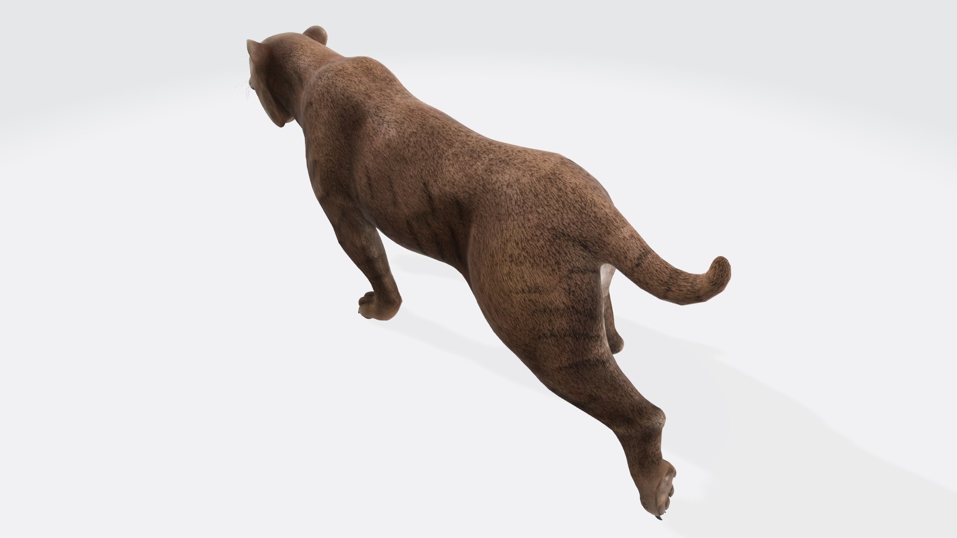 Saber Toothed Cat 3D Model Ready To Print 3D Model - TurboSquid 2285558