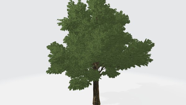 3D Scattered green tree v2 model - TurboSquid 1956121