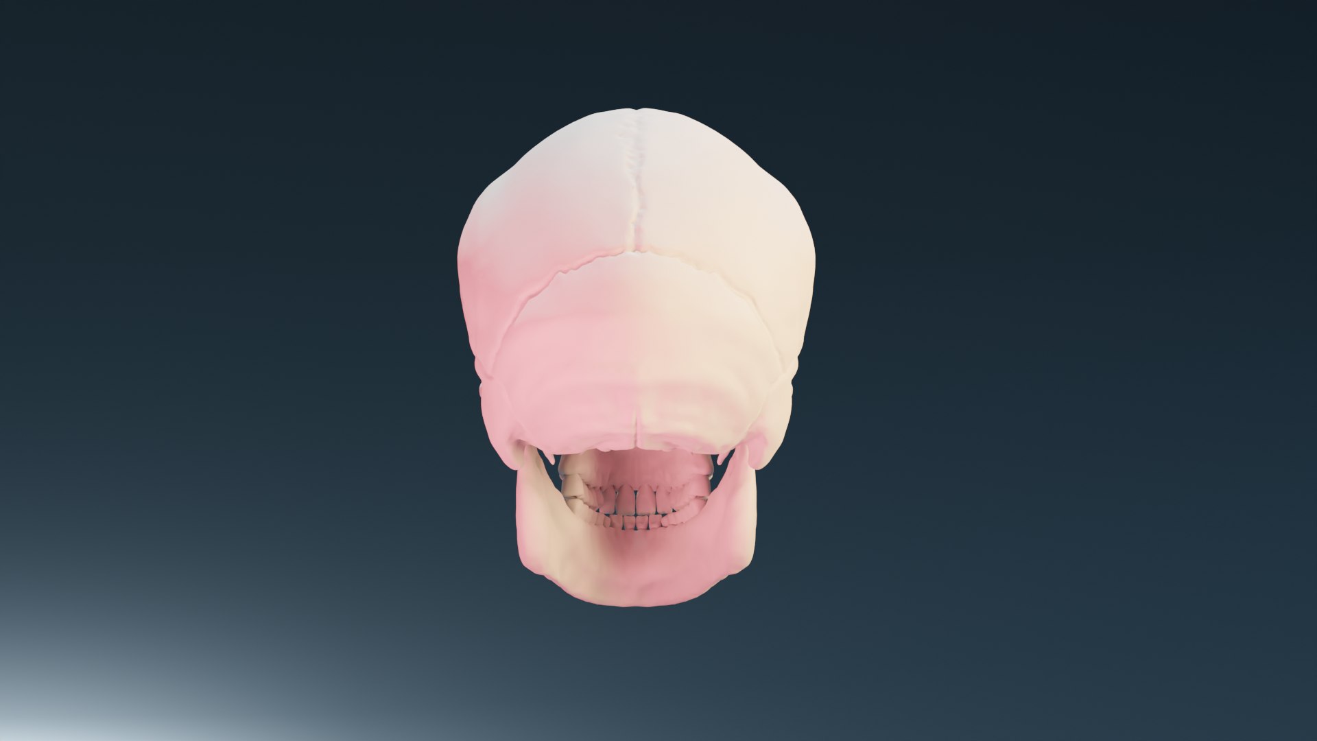 3D Human Skull Lighting Scene - TurboSquid 2123176