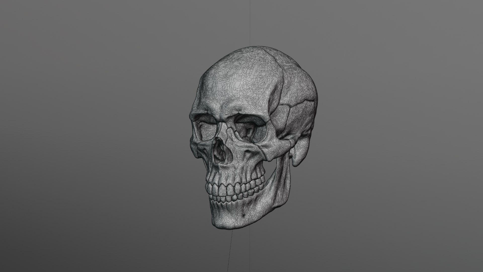3D Human Skull Lighting Scene - TurboSquid 2123176