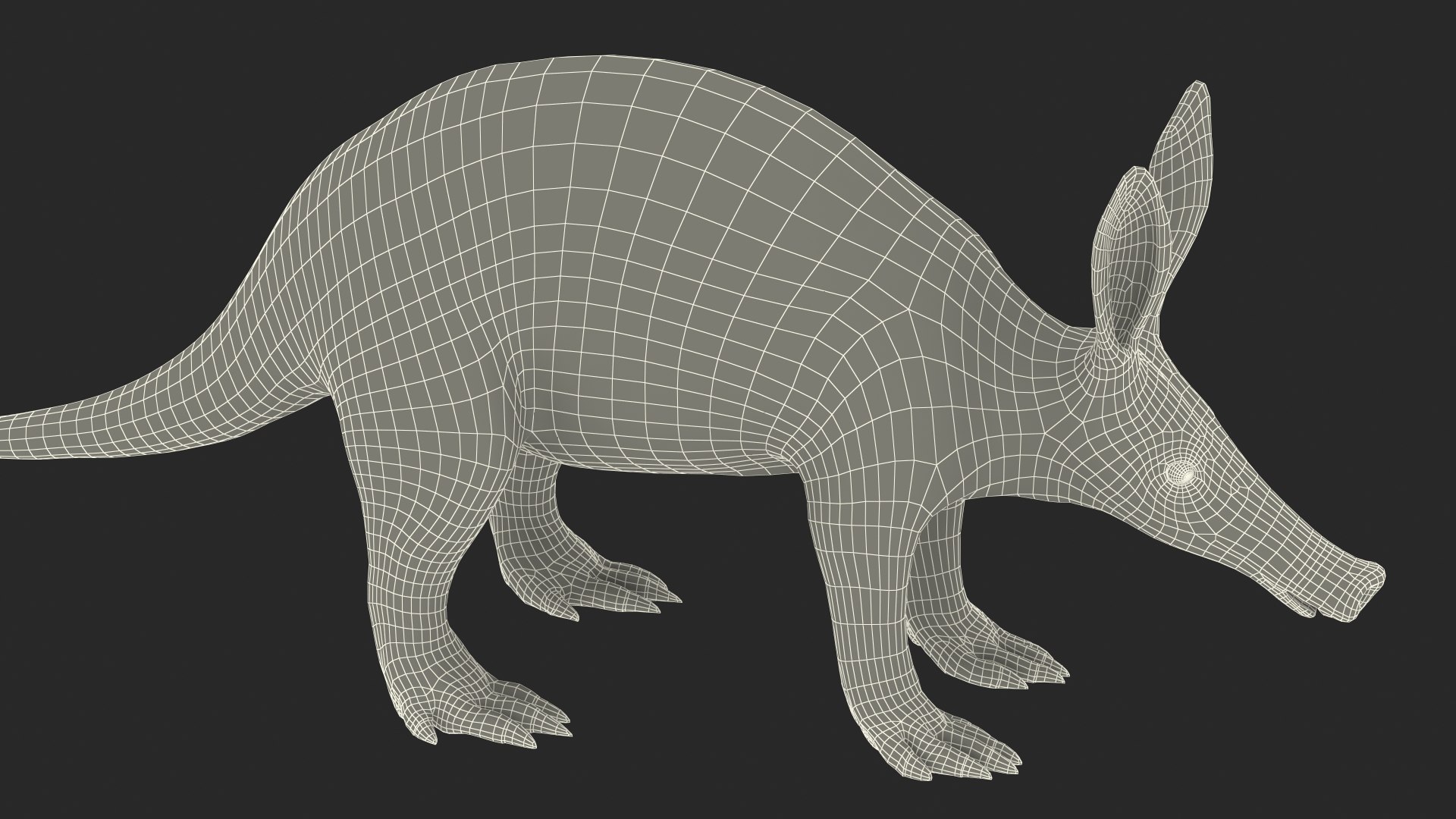 3D Aardvark Basic Pose - TurboSquid 2178362