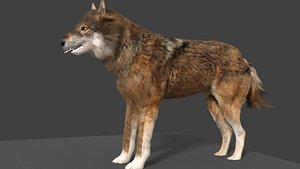 Wolf Blender Models for Download | TurboSquid