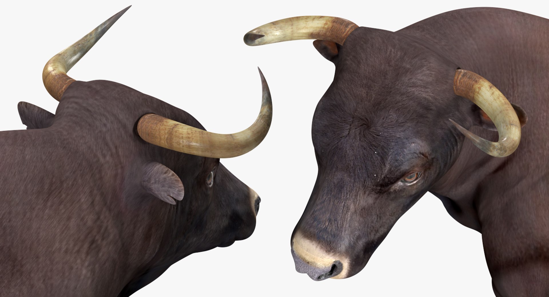 3D model bull standing pose - TurboSquid 1215642