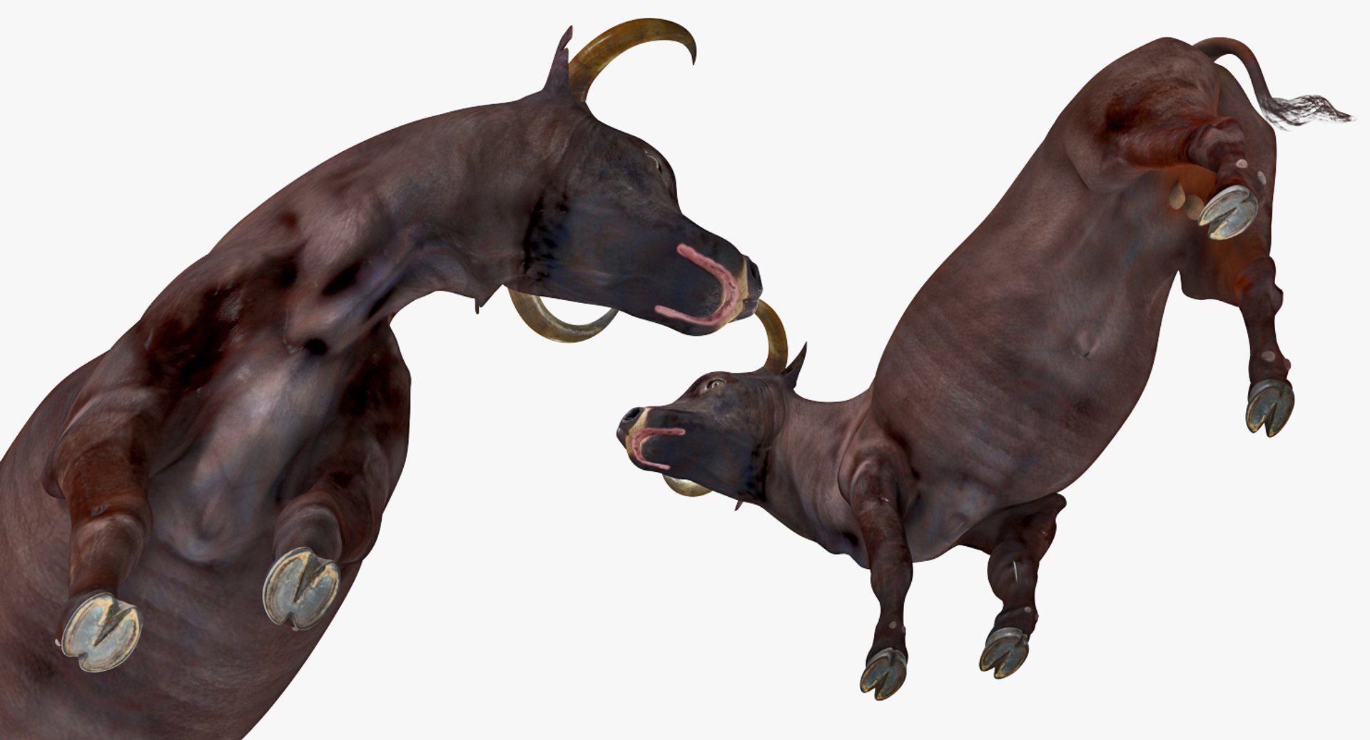 3D Model Bull Standing Pose - TurboSquid 1215642
