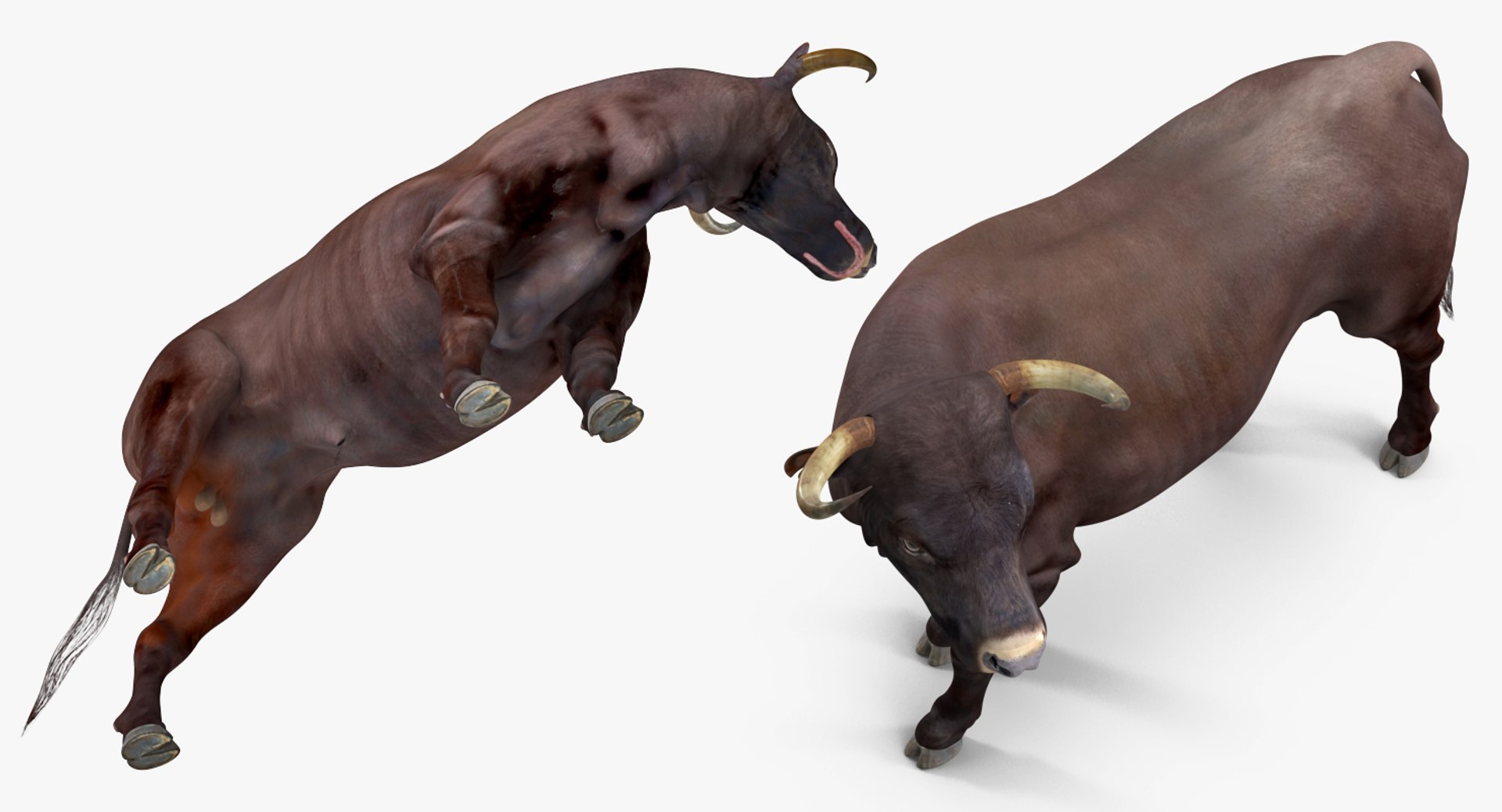 3D Model Bull Standing Pose - TurboSquid 1215642