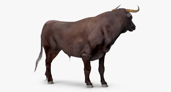 3D model bull standing pose - TurboSquid 1215642