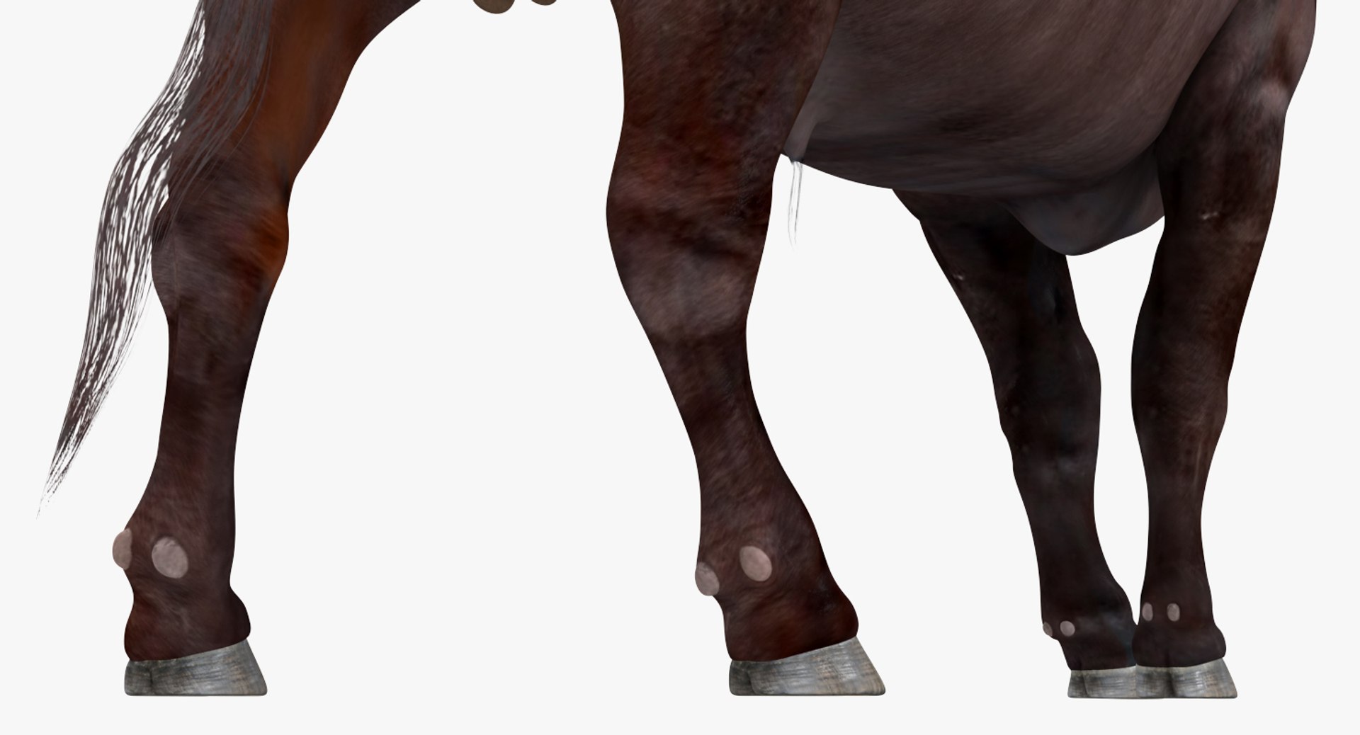 3D model bull standing pose - TurboSquid 1215642